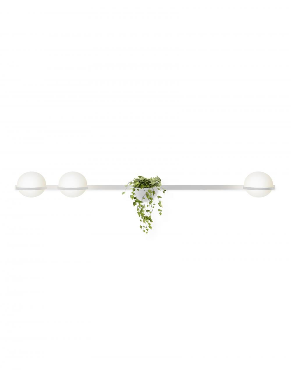 Vibia Palma Wall Light – Holloways of Ludlow