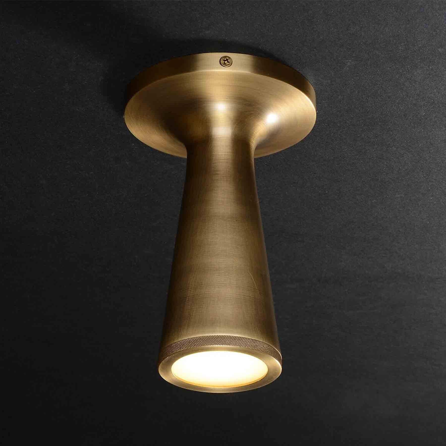 Jimmy Raiden Cone Flushmount Ceiling Light – Holloways of Ludlow